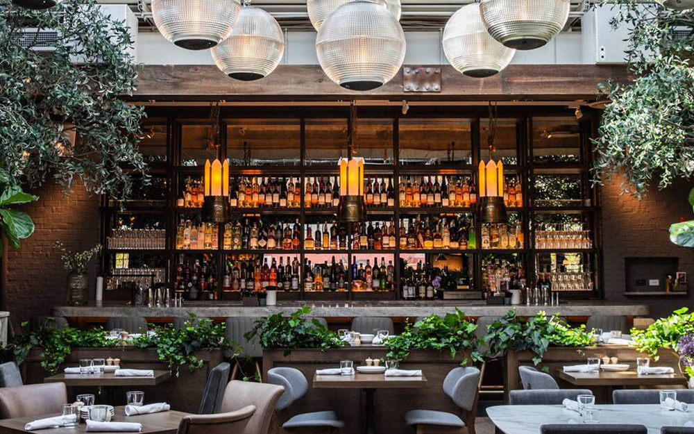 D'Luxe Pads | Chicago Premier Crash Pads